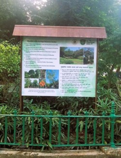 General Information Plaques - Introduction & Visuals - Save Rani Bagh ...